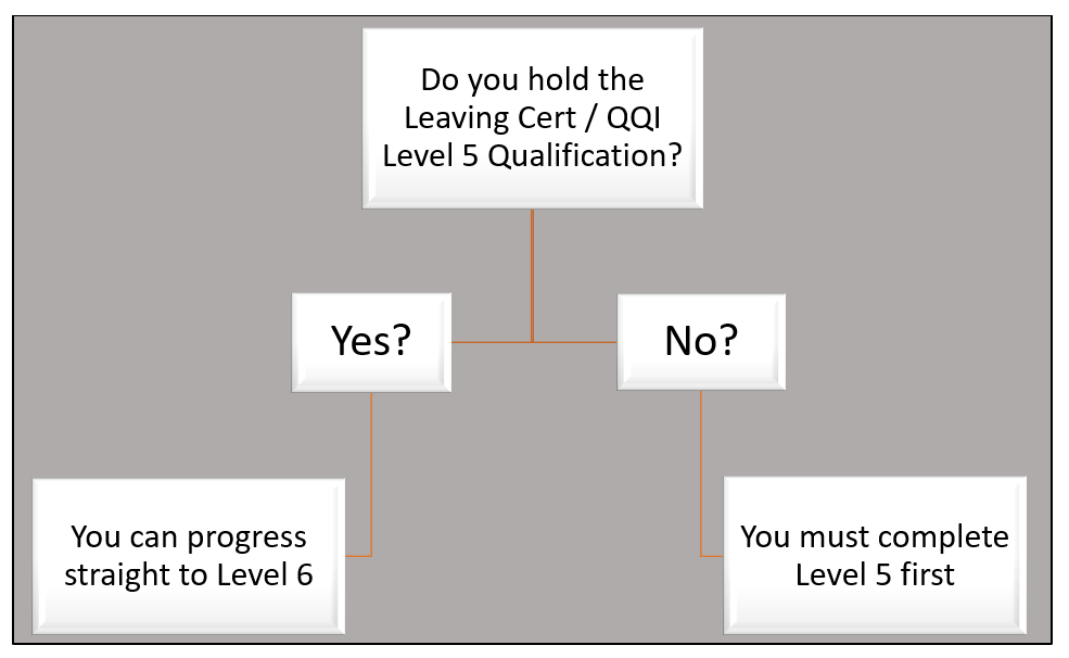 Major Award in ECEC - Do I need Level 5 or 6 for Childcare Practitioner?